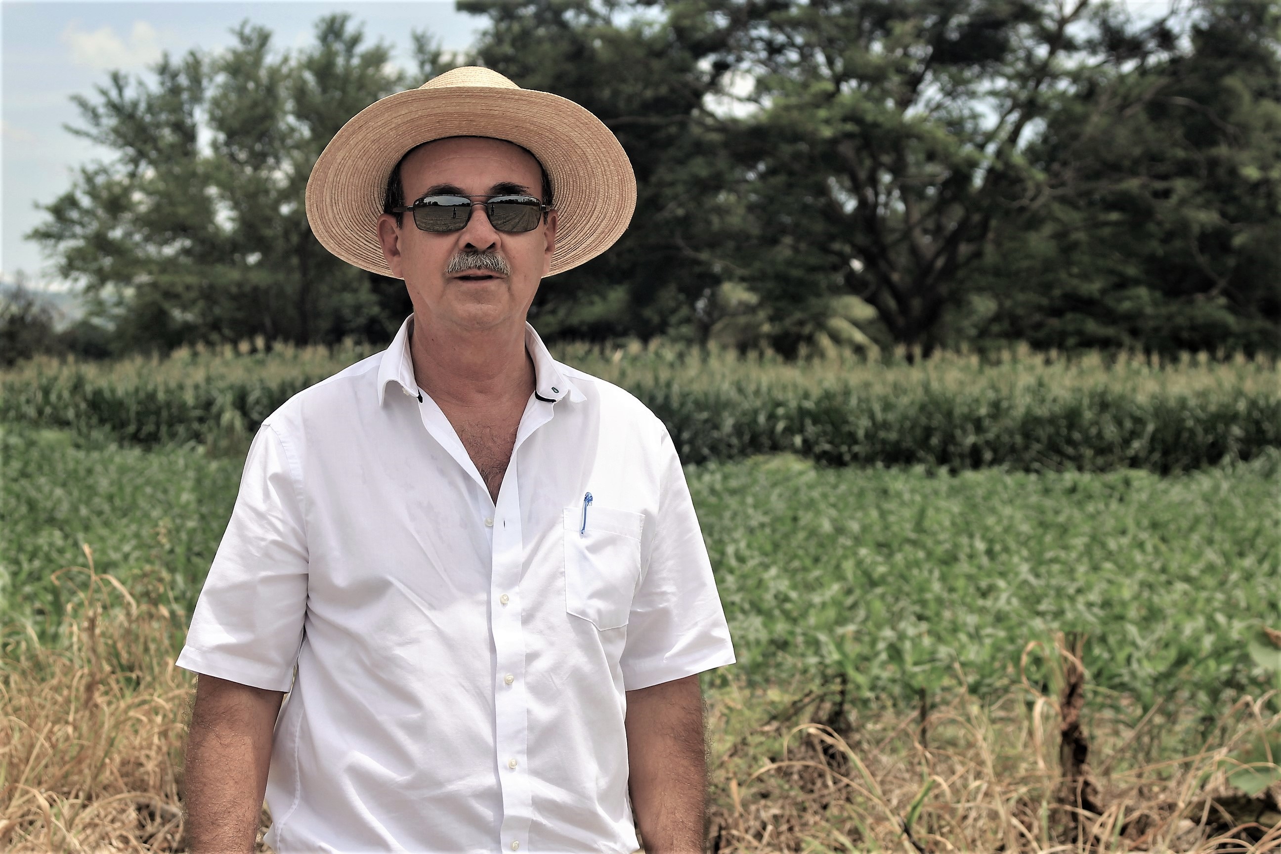 enrique - Periódico EL Pais