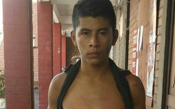 Navegación de entradas