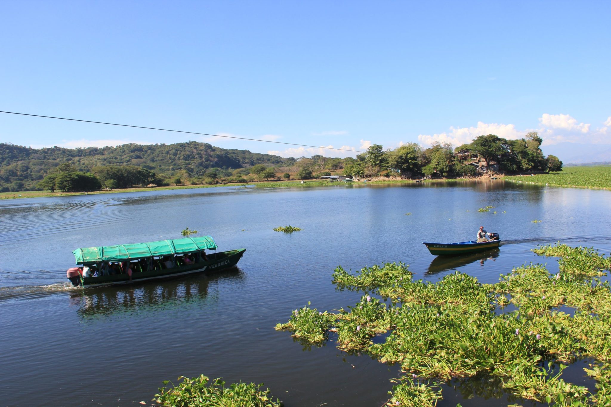 Deja una respuesta Cancelar la respuesta