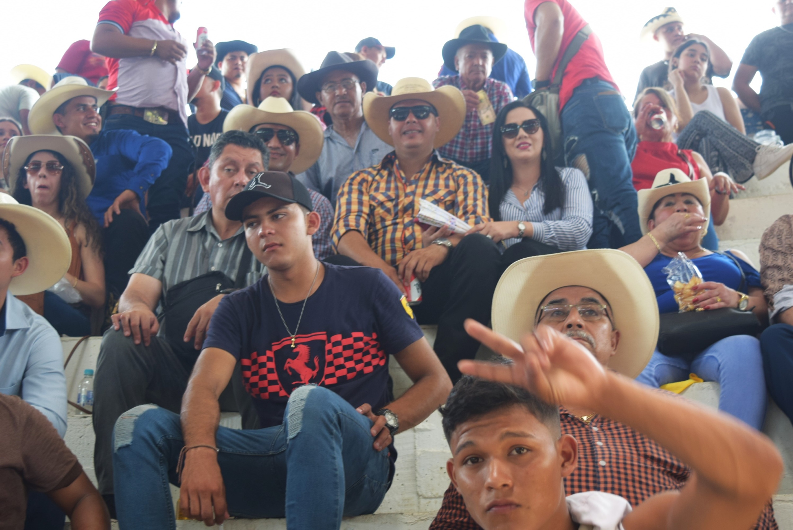 Navegación de entradas