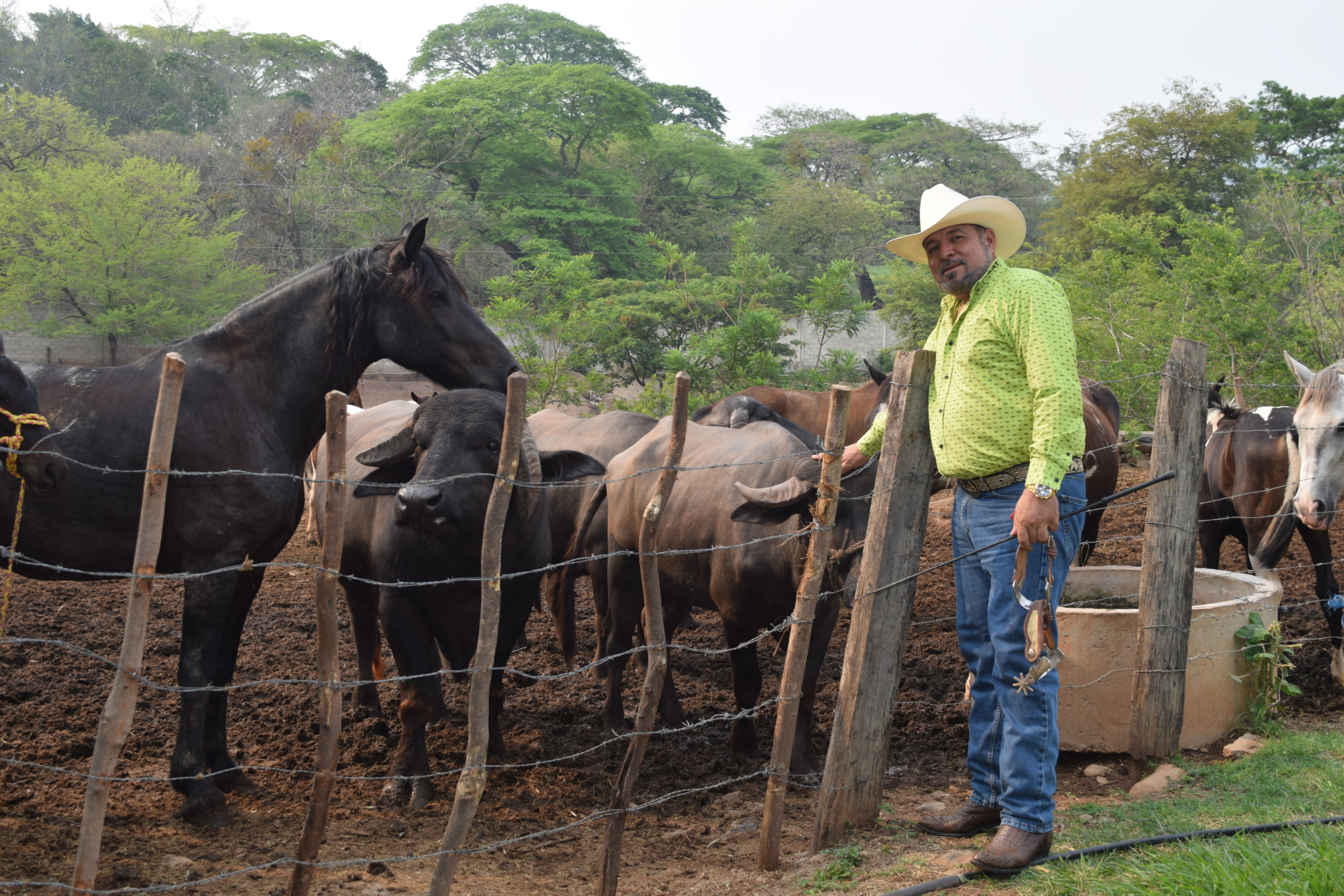 Navegación de entradas